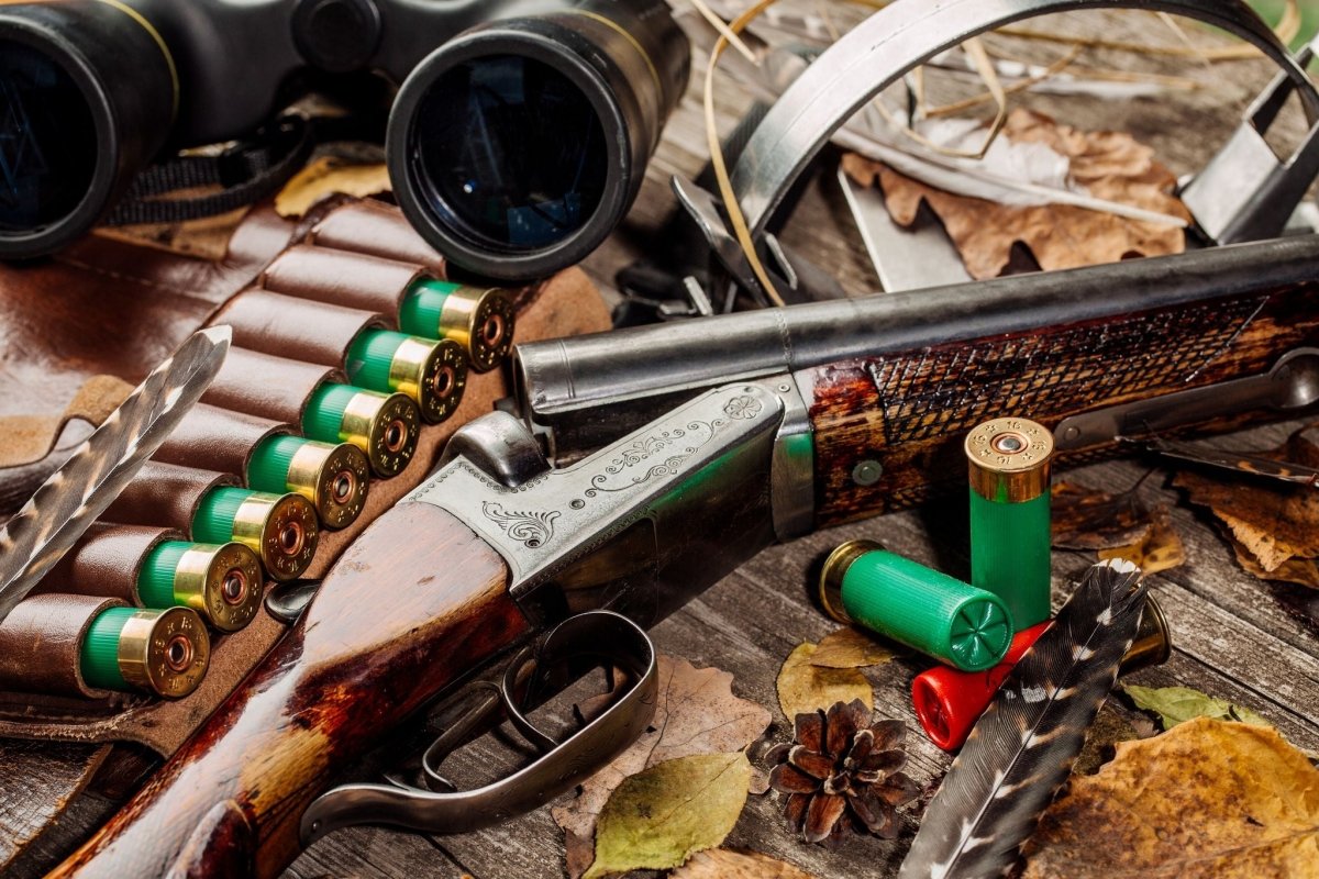 What is the Best Disc Shooting Gun? | Gunskins – GunSkins